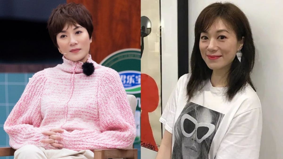 Maggie Cheung Ho Yee Only Joined Chinese Reality Show Memories Beyond ...