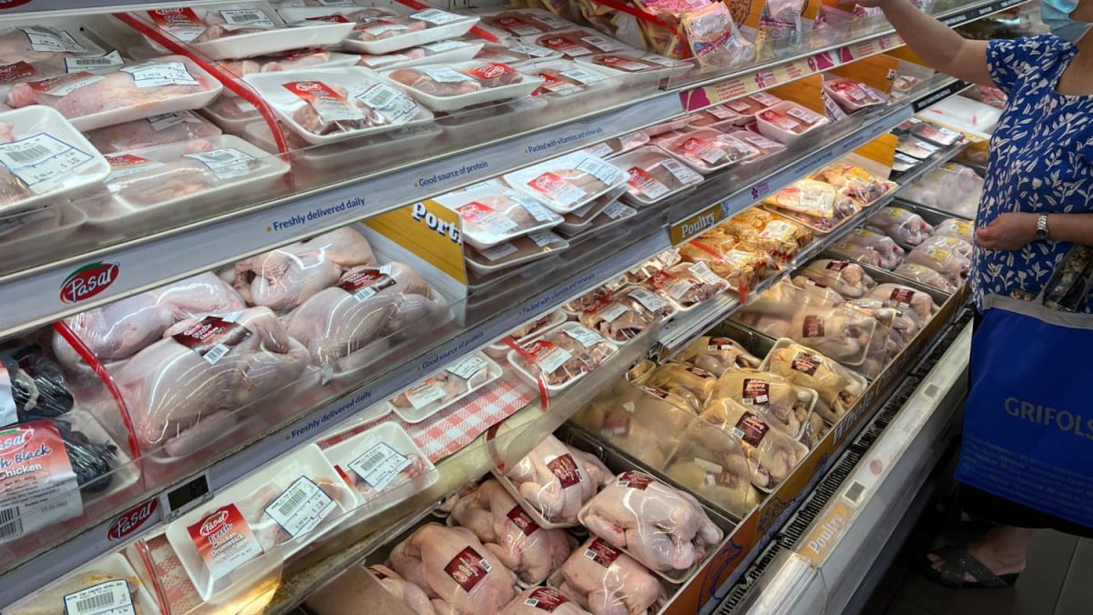 Singapore to import chilled, frozen, processed chickens from Indonesia ...