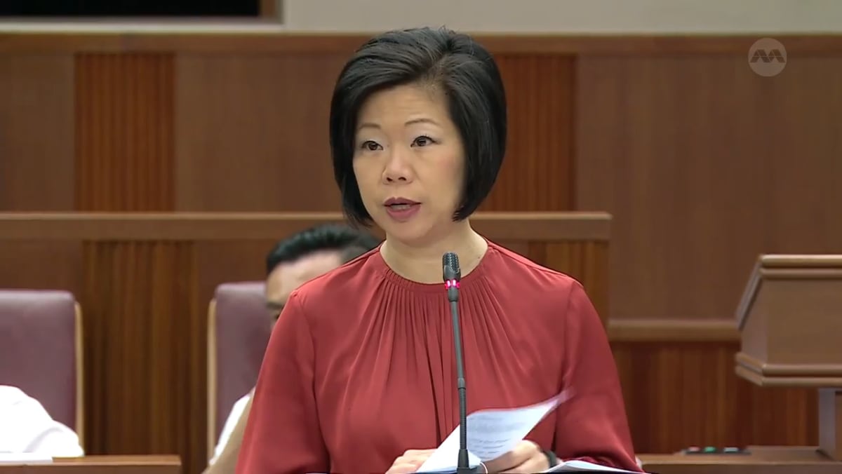Sim Ann on Town Councils Financial Rules - CNA