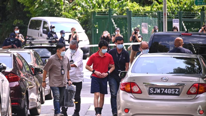 Death of Upper Bukit Timah twins: Father to plead guilty to culpable ...