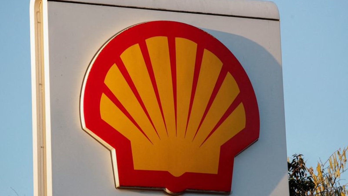 Shell says electricity to meet 60per cent of China's energy use by 2060 ...