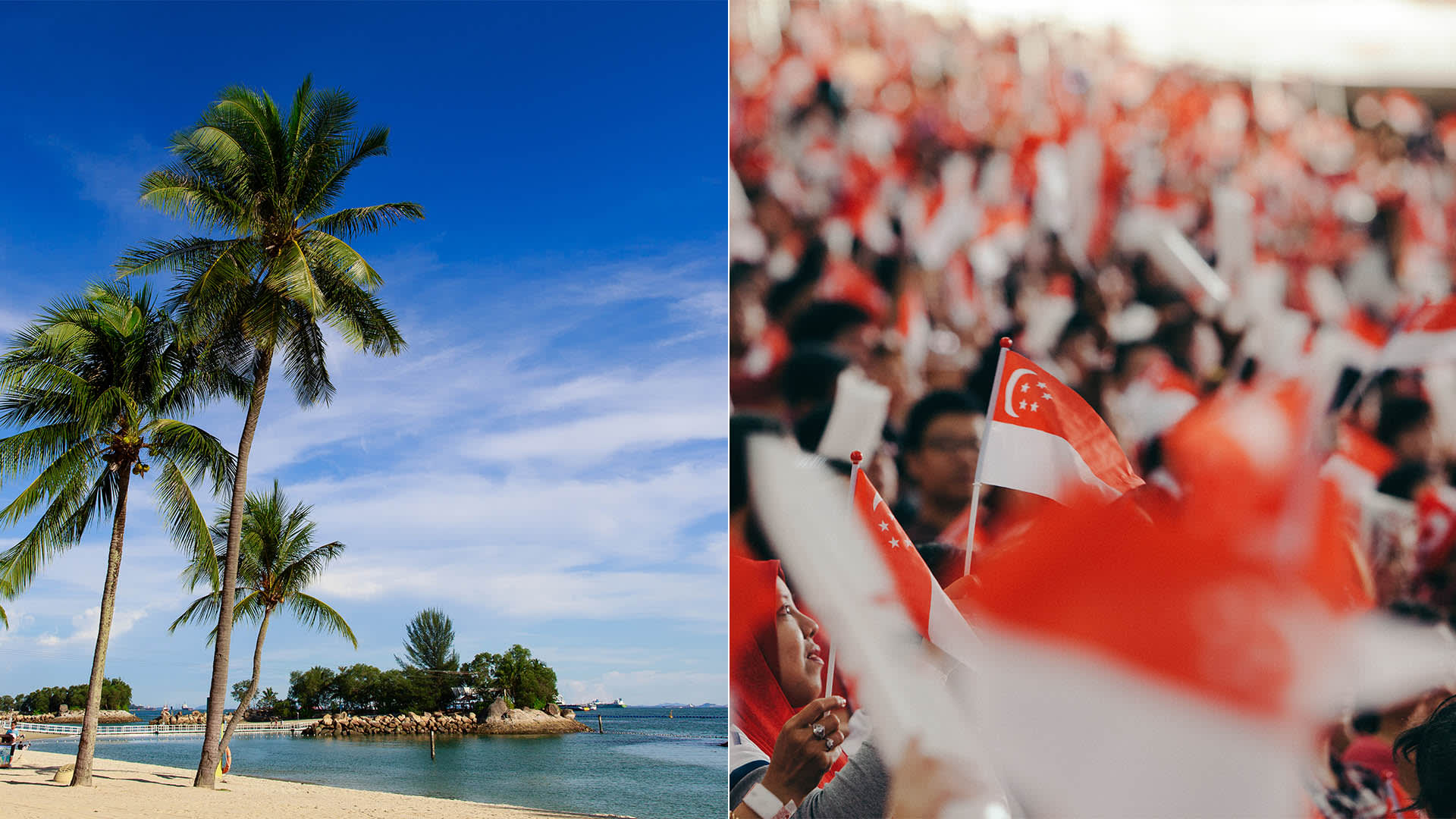 sentosa latest news & coverage - 8days