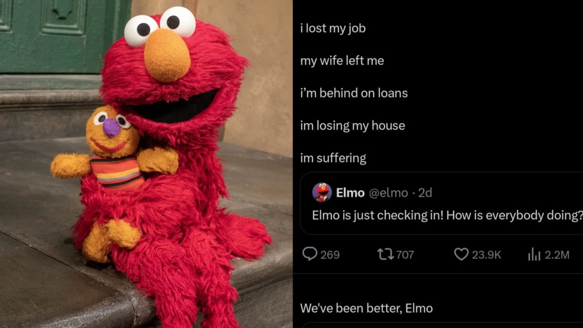 Elmo responds to angsty replies following viral wellness check post ...