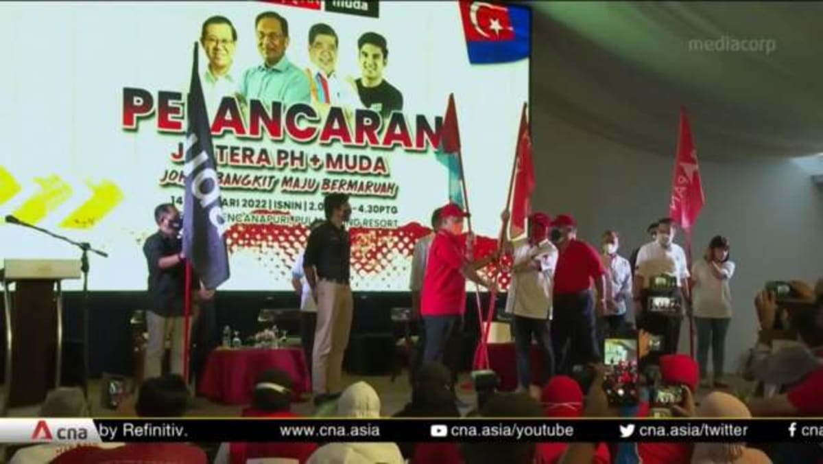 Crowded field of candidates for Johor's state election | Video - CNA ...