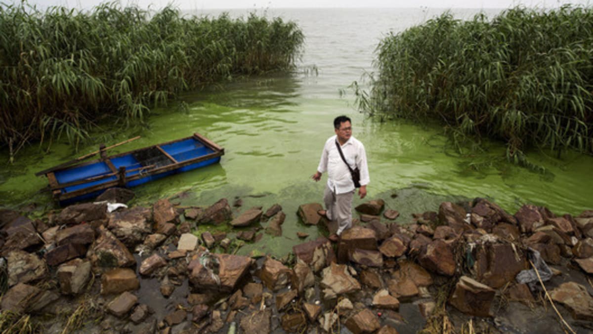 Despite persecution, guardian of Lake Tai won’t let off China’s ...