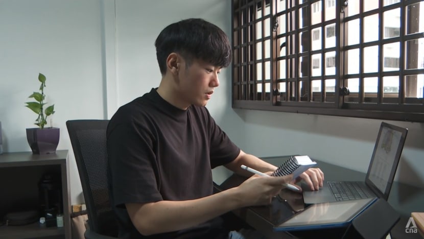 Veterinary clinics in Singapore forced to raise fees amid soaring costs ...