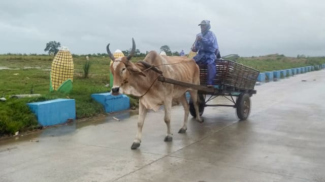 超强台风苏拉逼近广东和香港 中国发布红色预警 - 8world