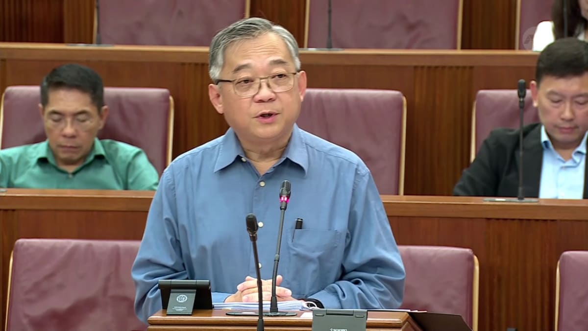Gan Kim Yong on Significant Investments Review Bill - CNA