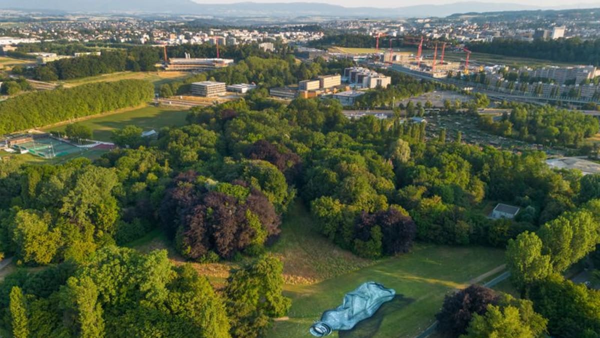 Artist paints giant plastic bottle in Swiss park in litter protest - CNA
