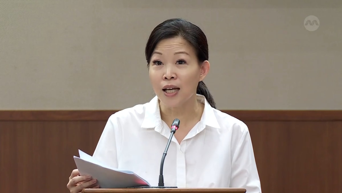 Committee of Supply 2023 debate, Day 7: Cheng Li Hui on greater ...