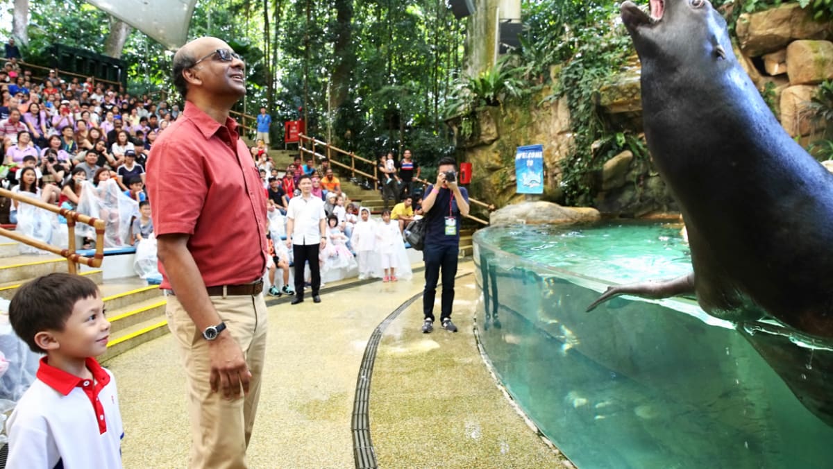 PCF to open first large-scale childcare centre by this month - TODAY