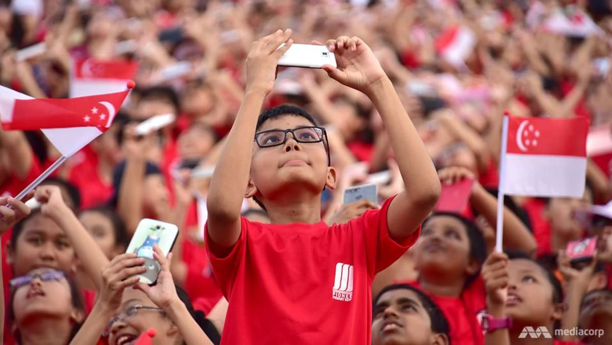 NDP 2018: 5 things to look out for this National Day Parade - CNA