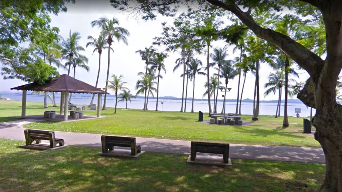 Police investigating after foetus found at Pasir Ris Park - TODAY