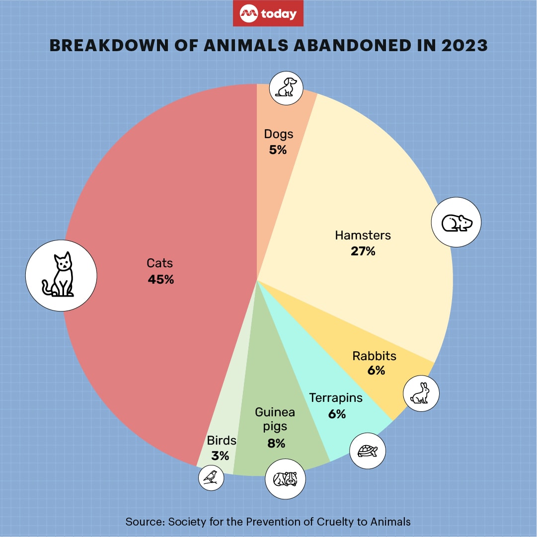 79% jump in reported cases of animal abuse and welfare issues in 2023 ...