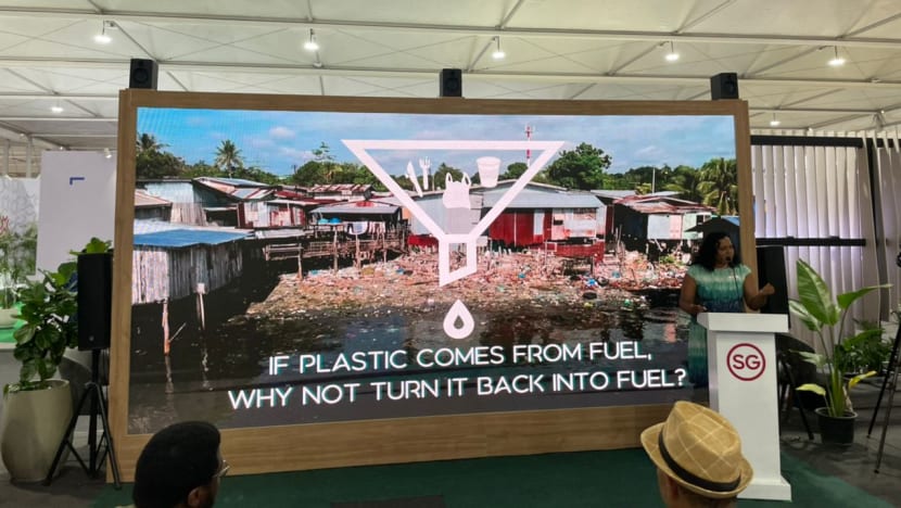 Commentary: How I got from beach clean-ups at Pasir Ris to speaking at ...