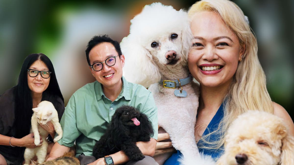 When pets are no longer just pets - TODAY