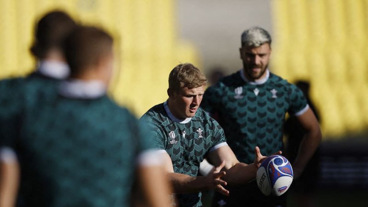 Lake to captain Wales against Springboks at Twickenham - CNA