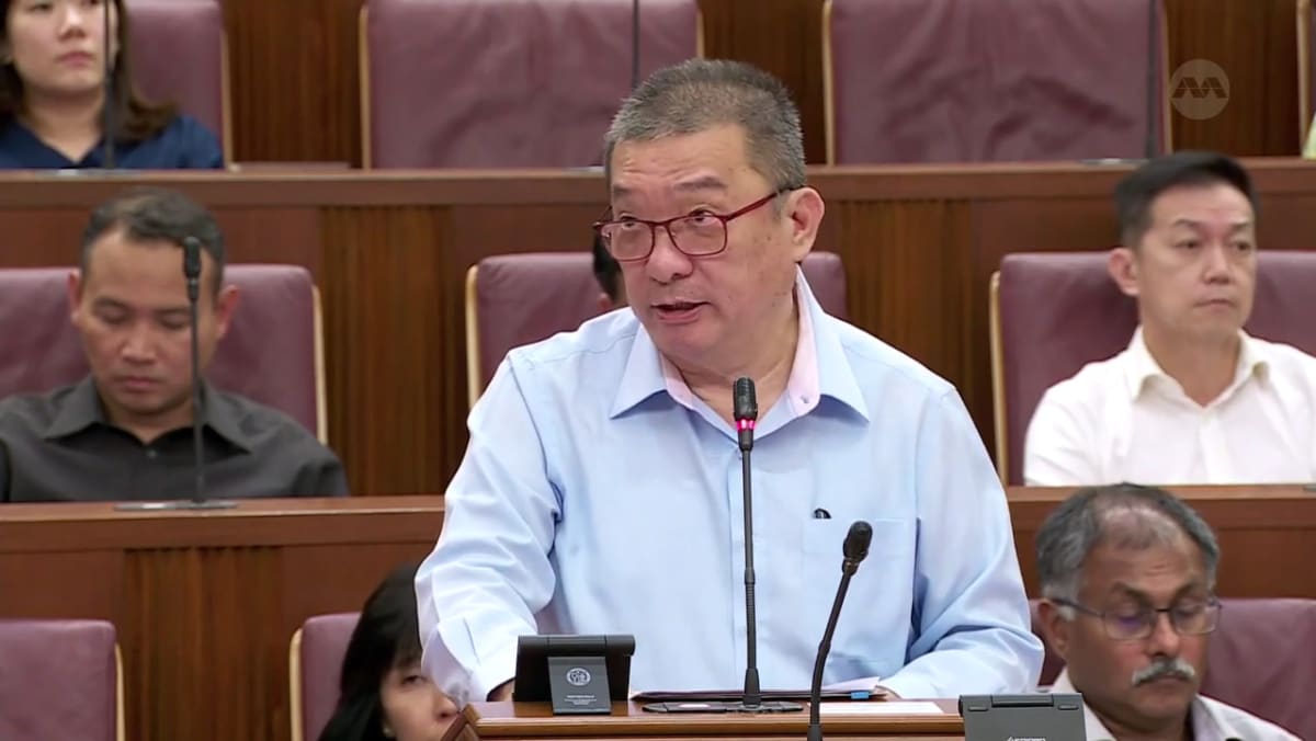 Sitoh Yih Pin on reviewing public finances to help Singaporeans - CNA