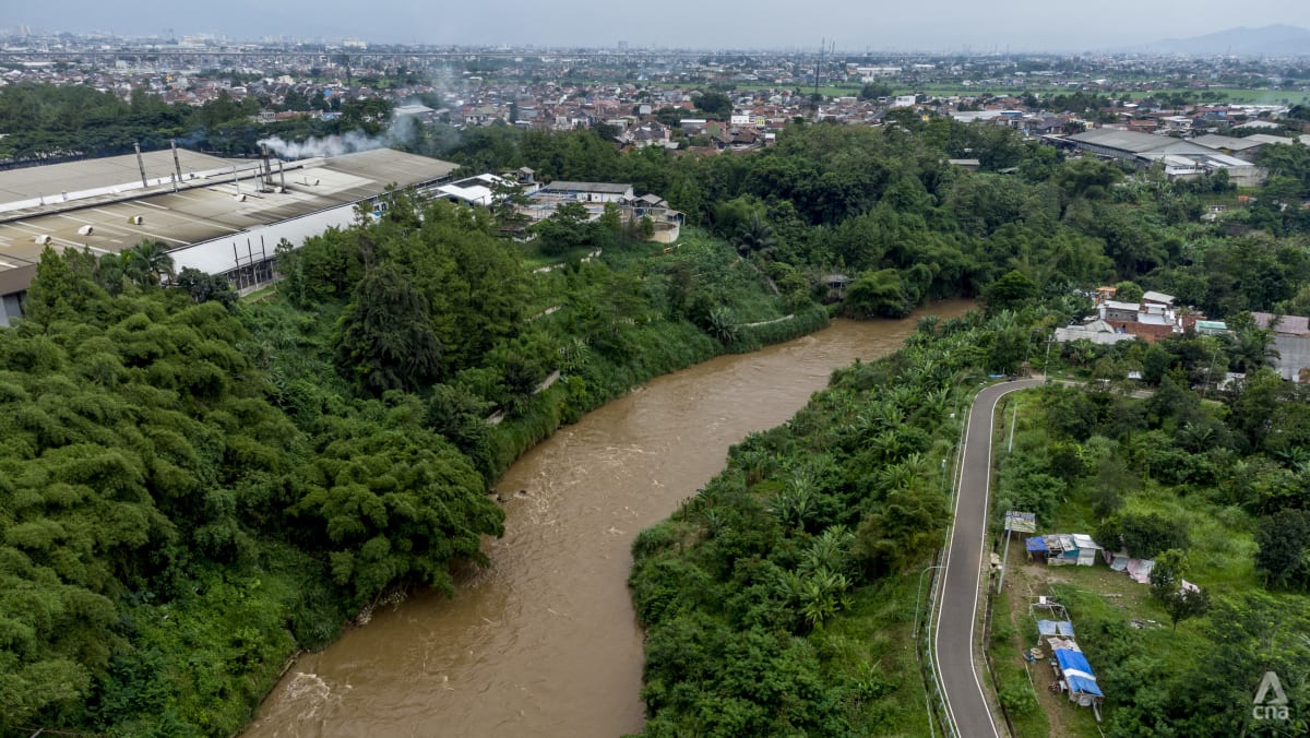 Signs of life after Indonesia's polluted Citarum river gets a clean up ...