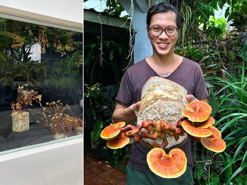 There Are Insta-Worthy Art Installations, Exhibitions Hidden In Plain ...