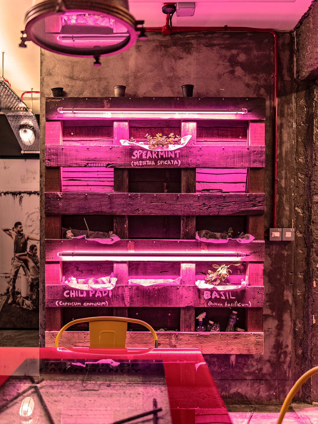 Transforming a 4-room HDB flat into an edgy ‘post-apocalyptic’ home ...