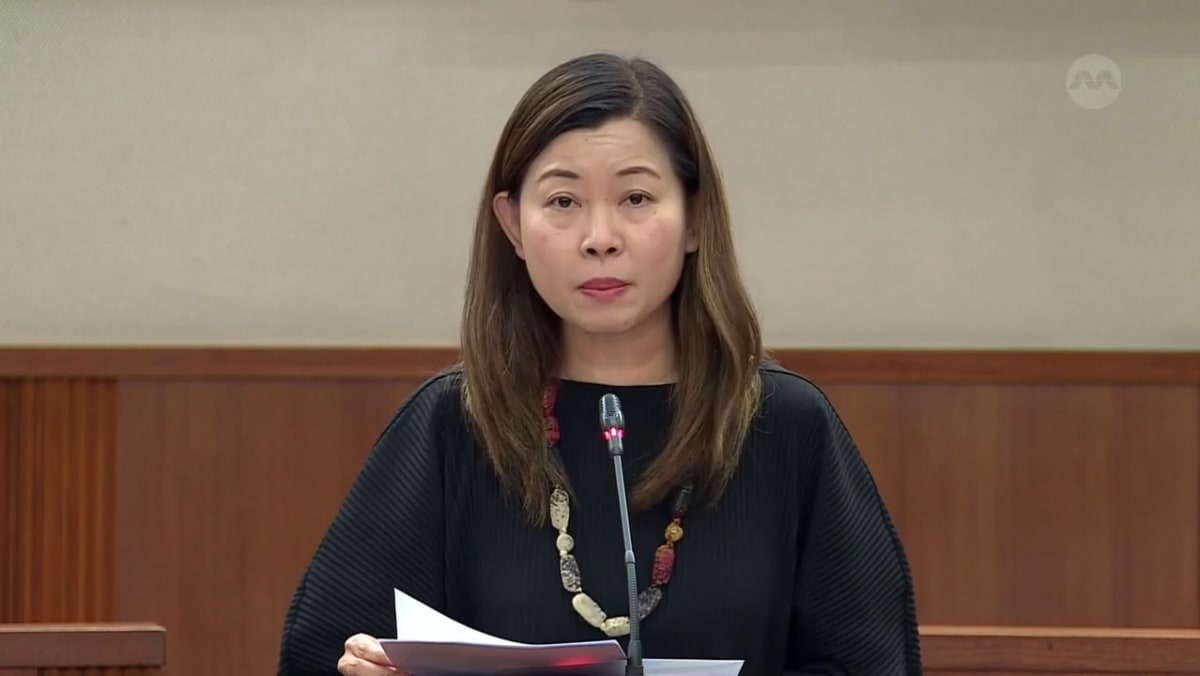 Ng Ling Ling on Casino Control (Amendment) Bill - CNA