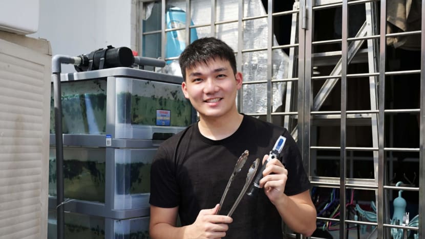 'Crab condos': How this man is making crab farming a reality in ...