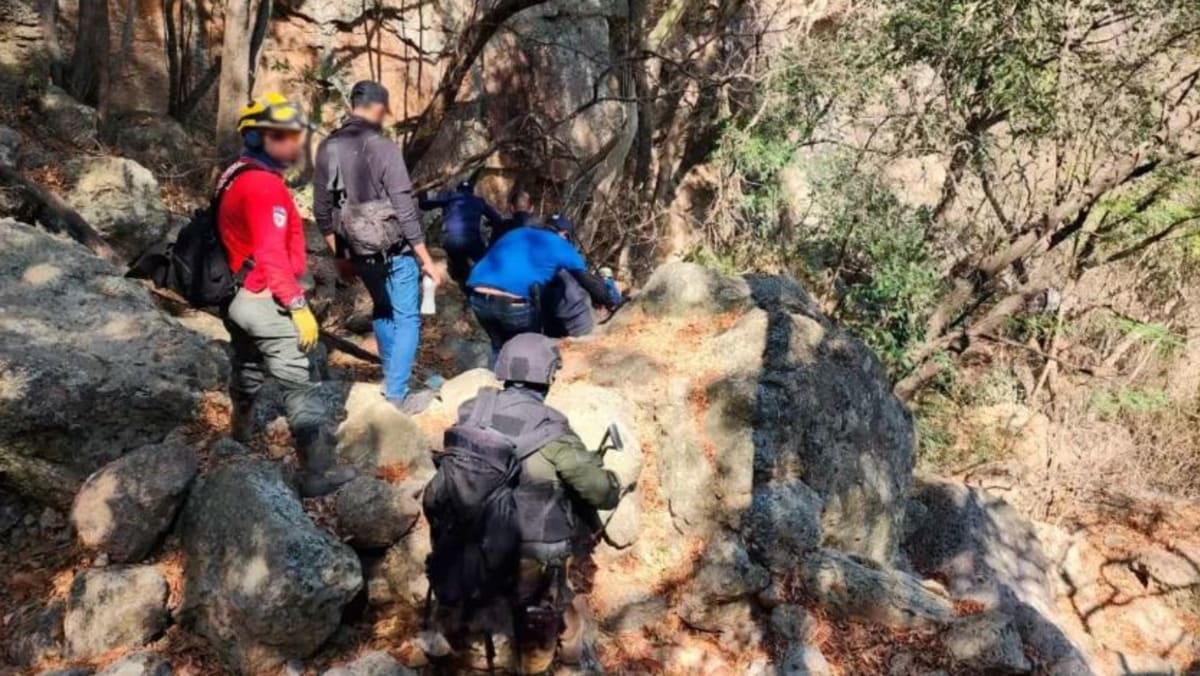 Polis Mexico temui 45 beg berisi mayat - BERITA Mediacorp