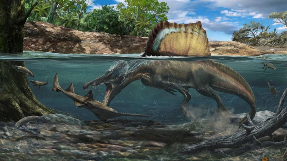 Bone density study confirms watery lifestyle of 'ominous' Spinosaurus - CNA