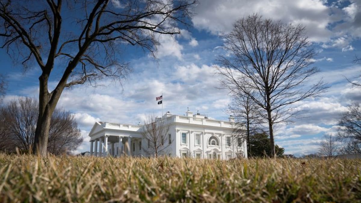 White House unveils principles for Big Tech reform - CNA