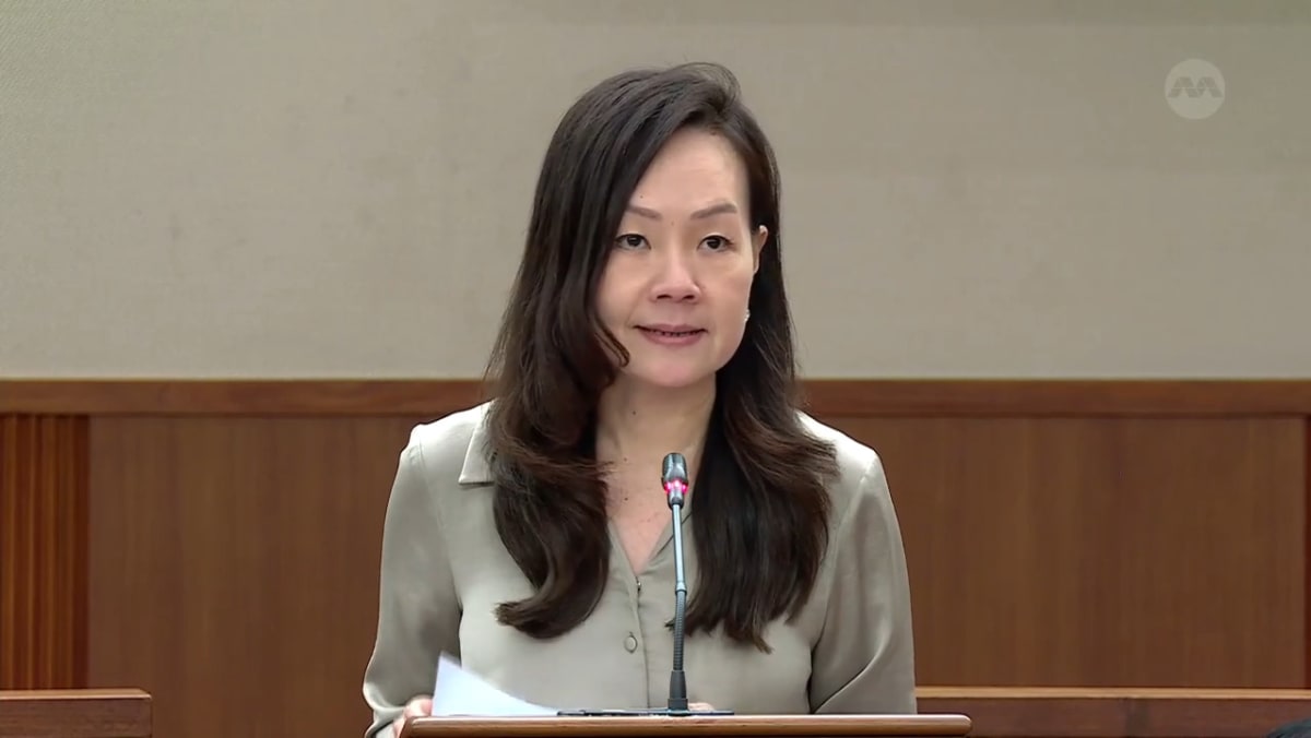Committee of Supply 2024 debate, Day 4: Rachel Ong on advisory on ...