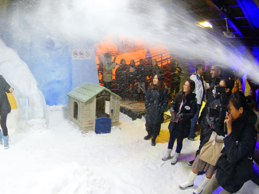 'Realistic, fine snow' part of Snow City revamp - TODAY