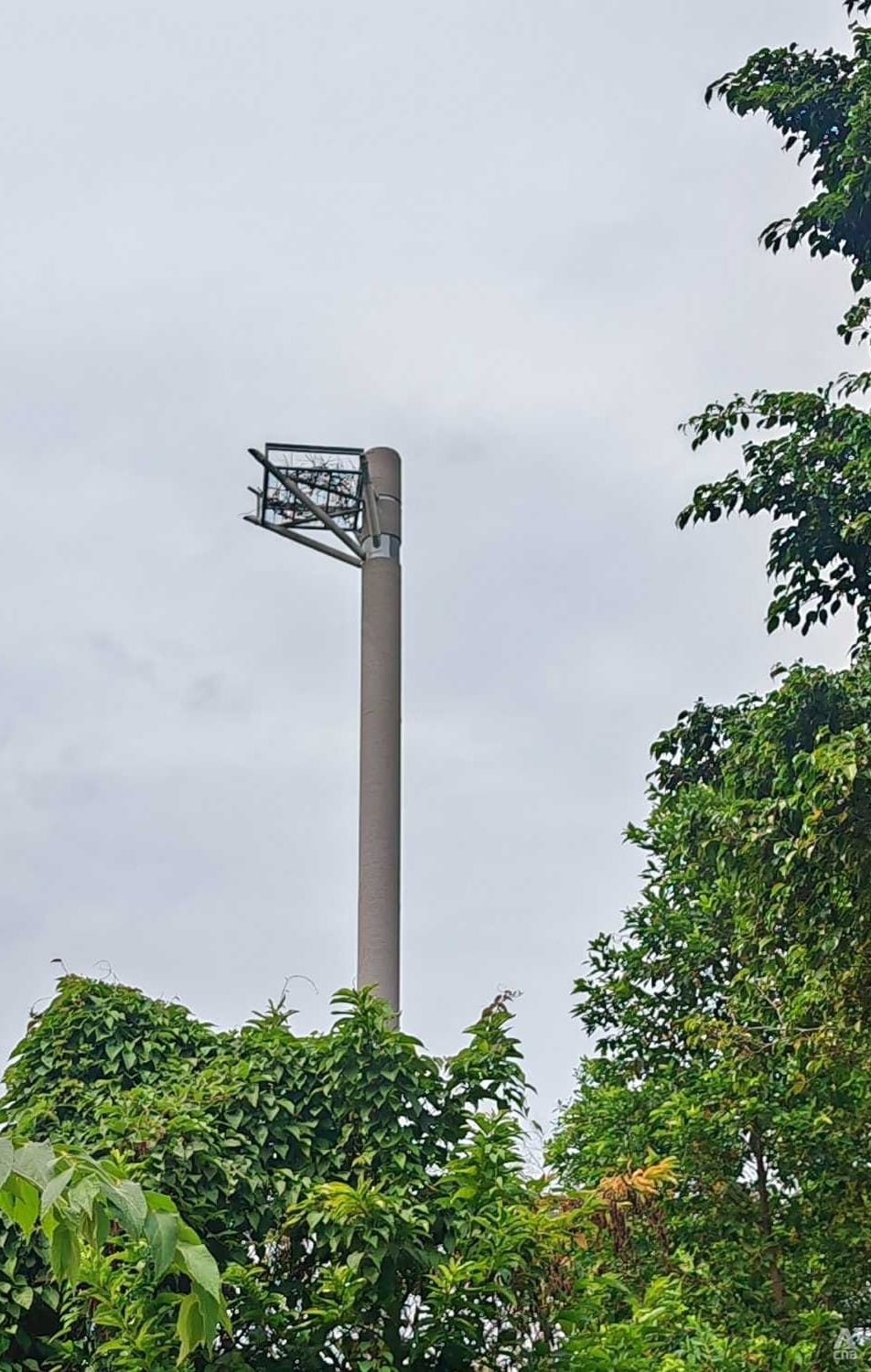 New Bidadari Park inspired by Winnie the Pooh forest, features ...