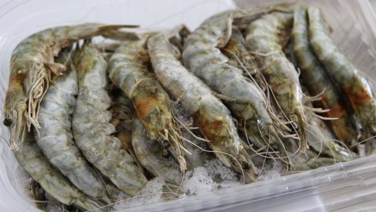 How Singapore start-up’s sustainable seafood grown from stem cells ...