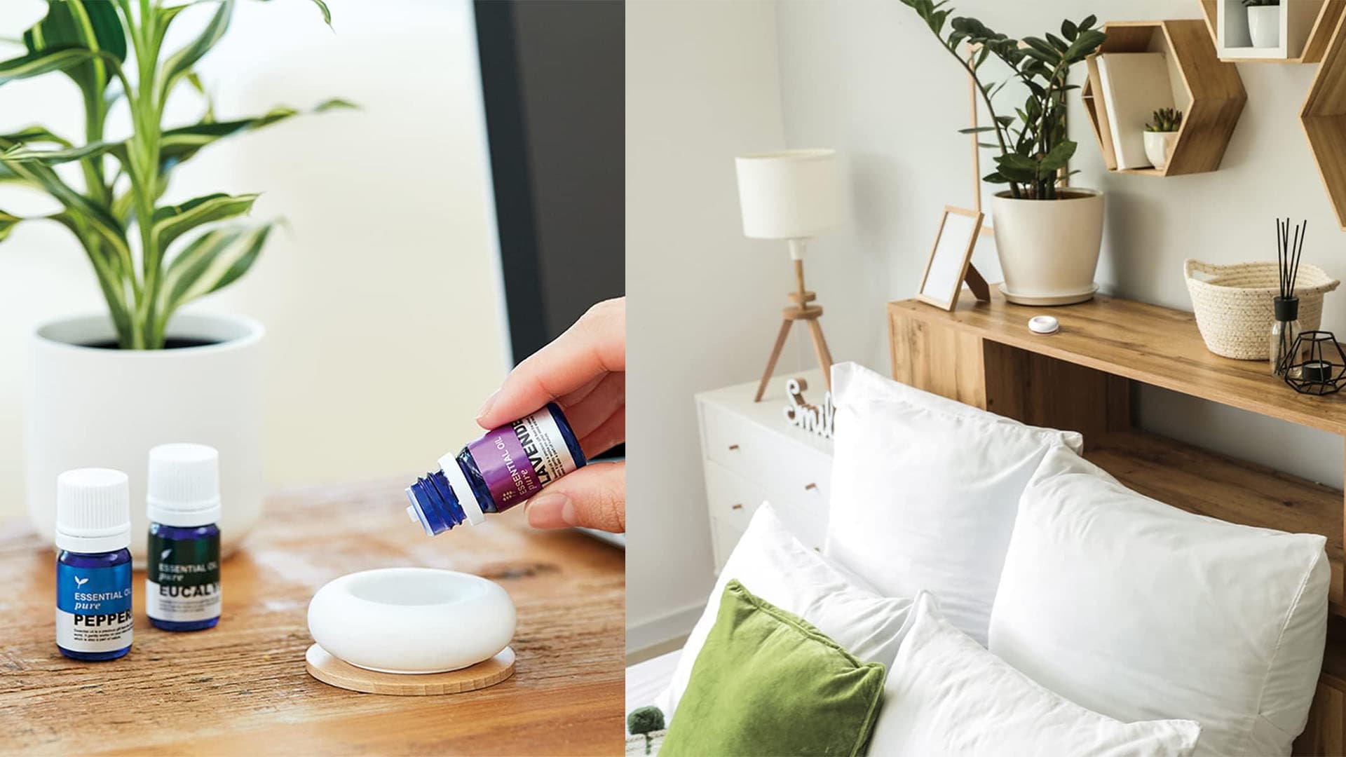 From Smart Diffusers To Basic Sets, These Are The Affordable Devices To ...