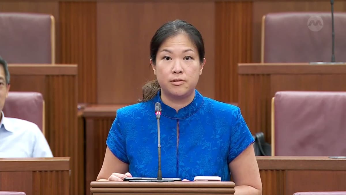 Committee of Supply 2023 debate, Day 1: He Ting Ru on managing and ...
