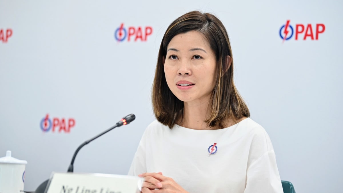 GE2020: PAP new face Ng Ling Ling responds to comments that she did not ...