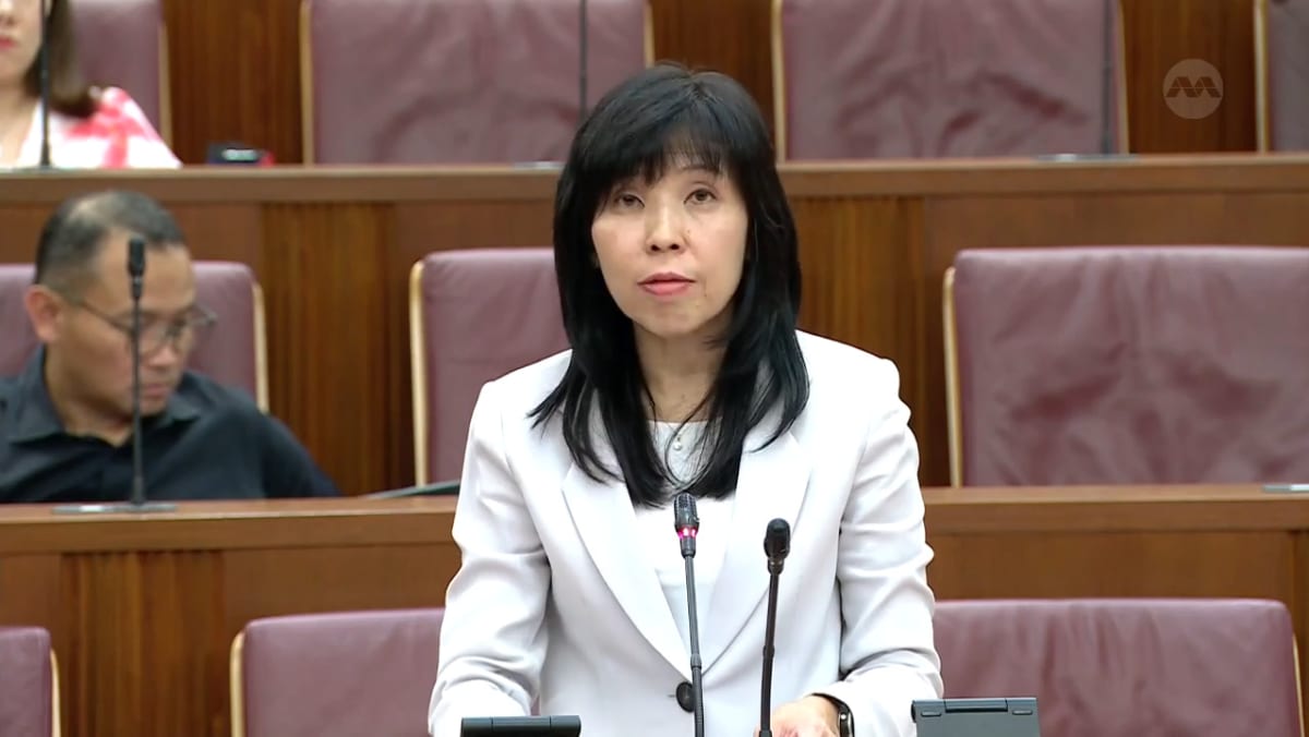 Committee of Supply 2024 debate, Day 1: Jessica Tan on green Government ...