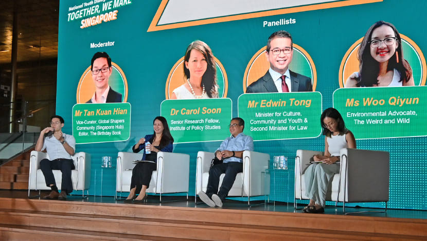 Youth panels, an initiative supported by the National Youth Council ...