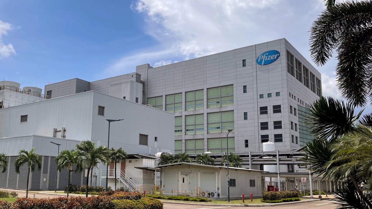 Pfizer's new S$1 billion facility extension opens in Tuas, to create ...