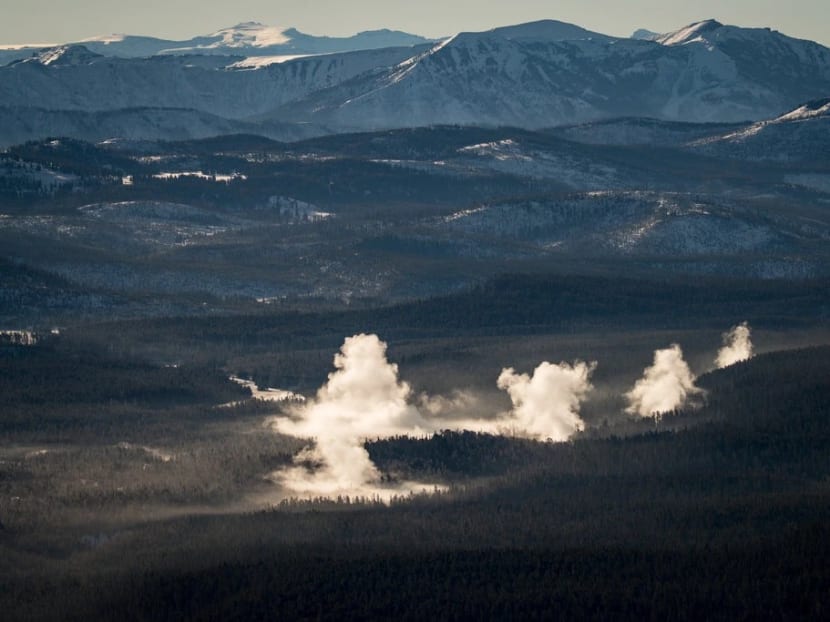 It’s warm and stealthy, and has killed Yellowstone trees and turned ...