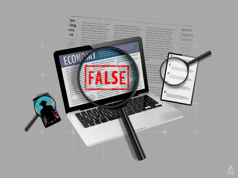 Views stay divided on POFMA five years on, but has it helped in ...