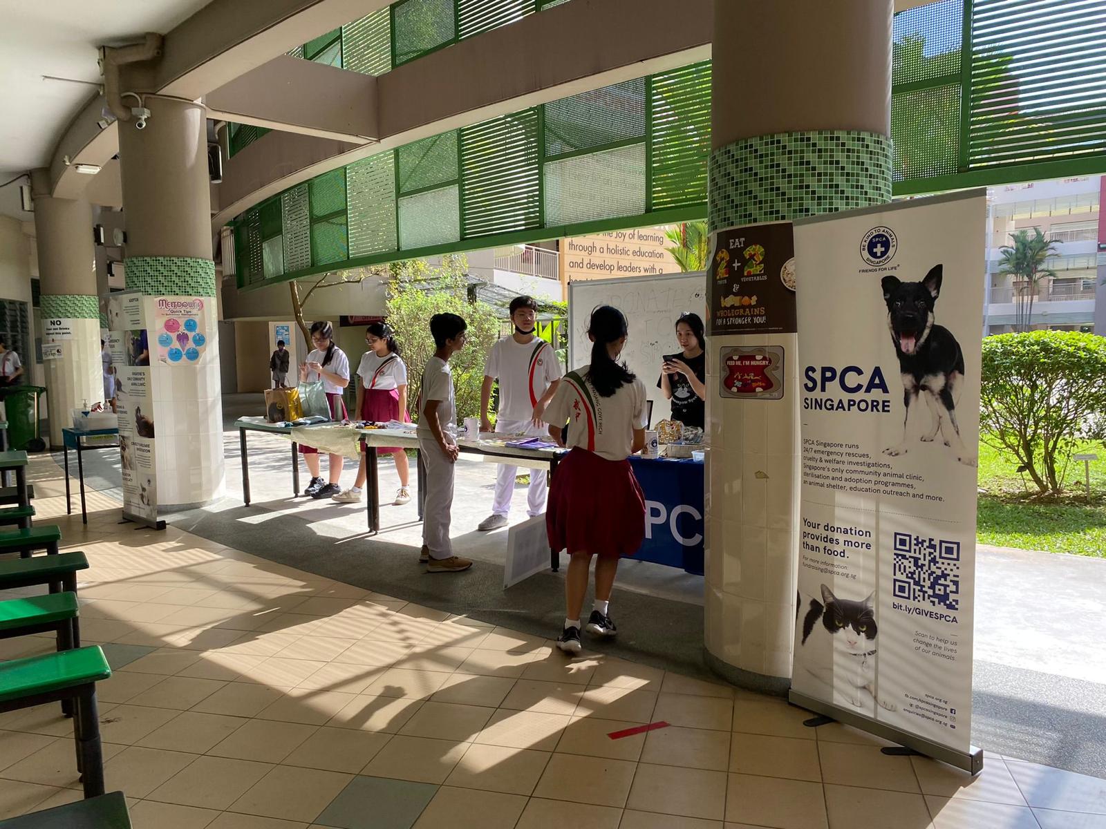 For the love of animals: How these teenagers raised thousands of ...