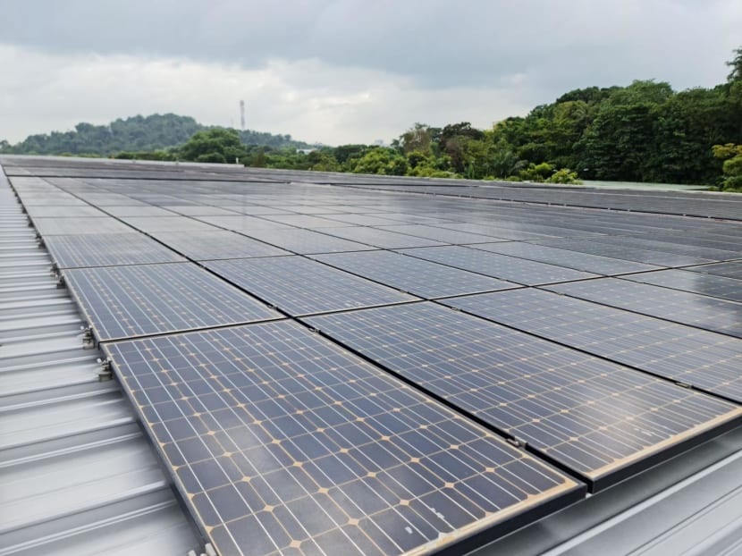 Sentosa, RWS to install solar panels at 18 locations as part of carbon ...