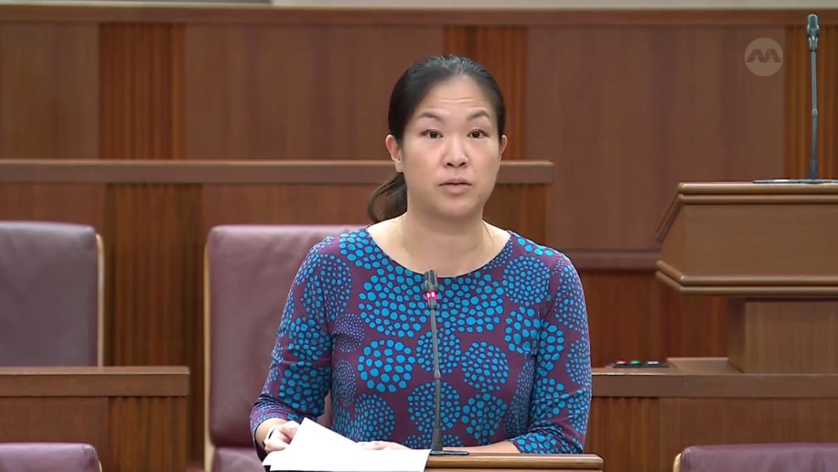 Committee of Supply 2024 debate, Day 3: He Ting Ru on supporting SMEs - CNA