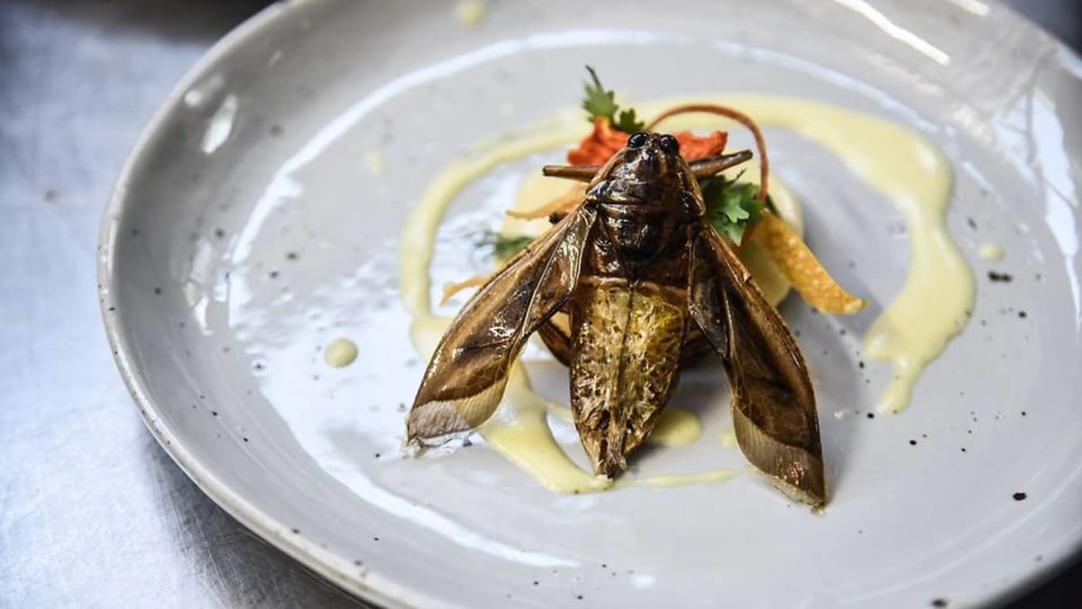 Food of the future? Five-star edible insects served up as Thailand gets ...