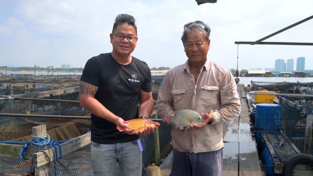 Heng Heng Fish Farm - 8world Entertainment Lifestyle