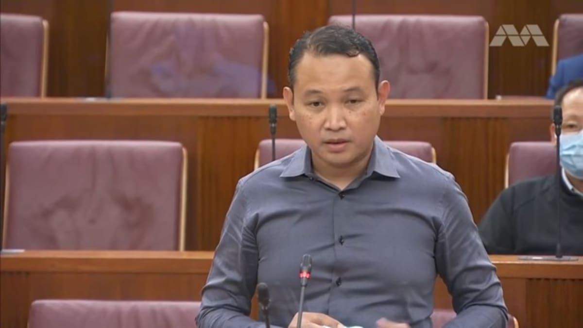 Committee of Supply 2021 debate, Day 2: Mohd Fahmi Aliman on coping ...
