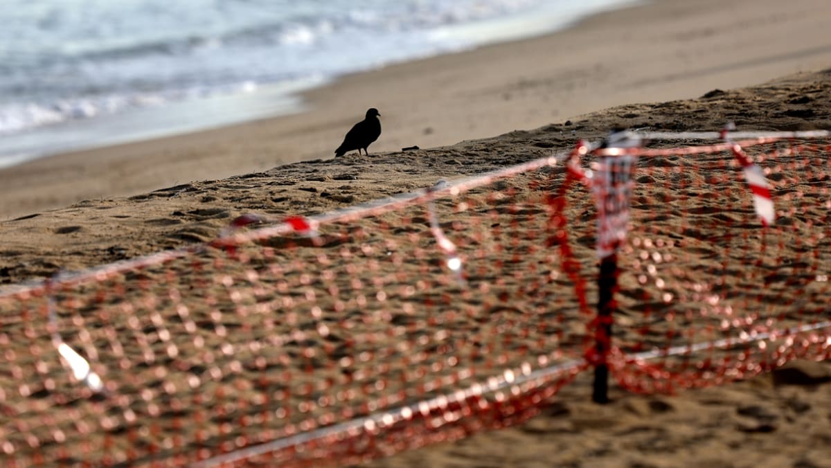 Covid-19: Playgrounds, beaches to reopen at start of Phase 2 - TODAY