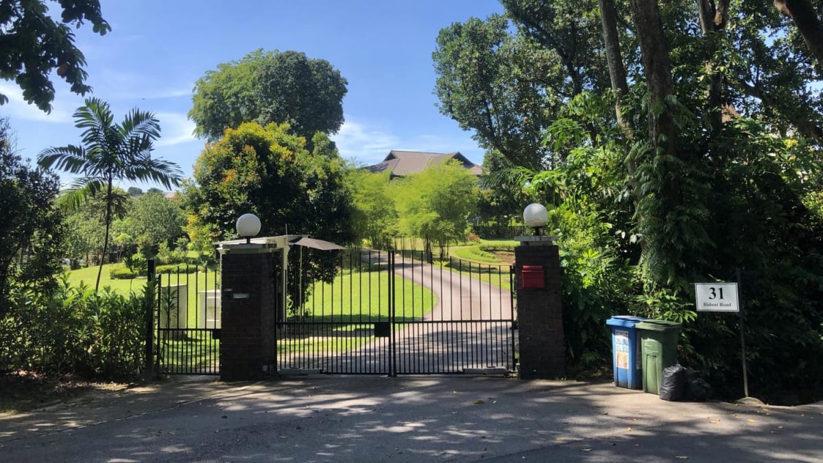 PAP, opposition MPs file questions on Ridout Road state properties; WP ...